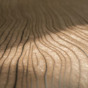 Ligna Wings - London Essentials. Shop Luxury Homewares online